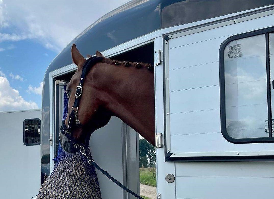 4 façons de transporter un cheval - Utile et pratique